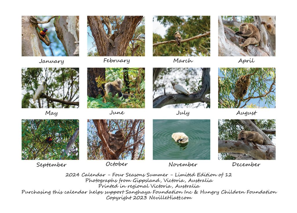 2024 Four Seasons Calendars Now Available – The Creative Desk of ...